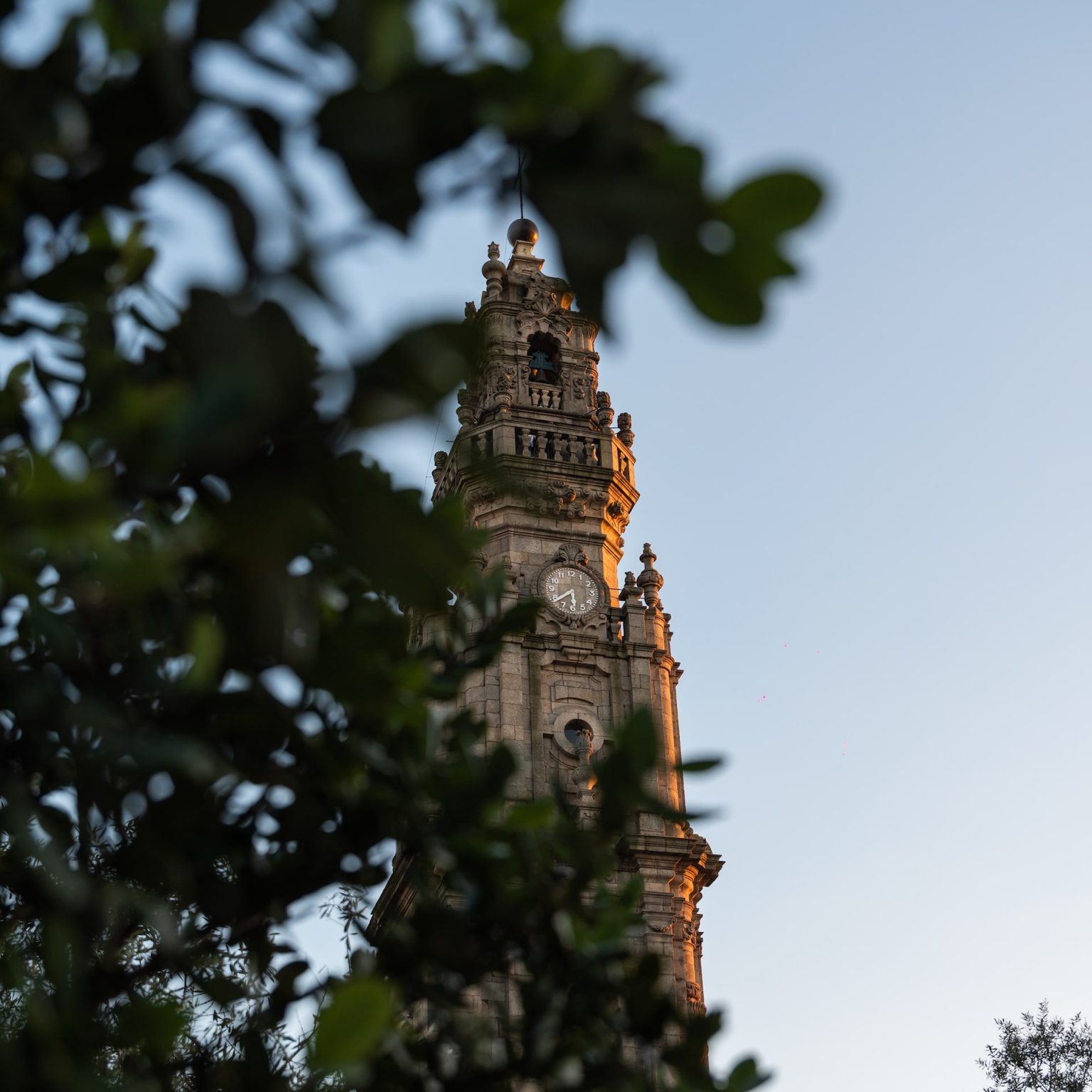 BASE Porto – Bar ao Ar Livre no Coração da Cidade